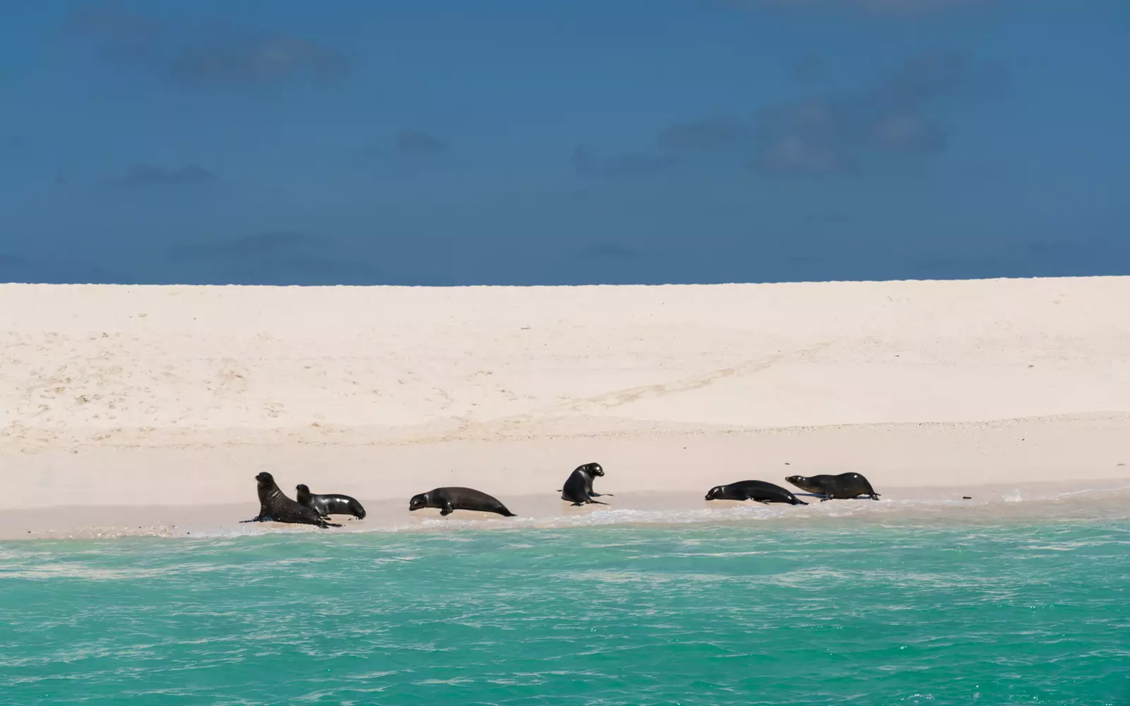 Galapagos-saaret