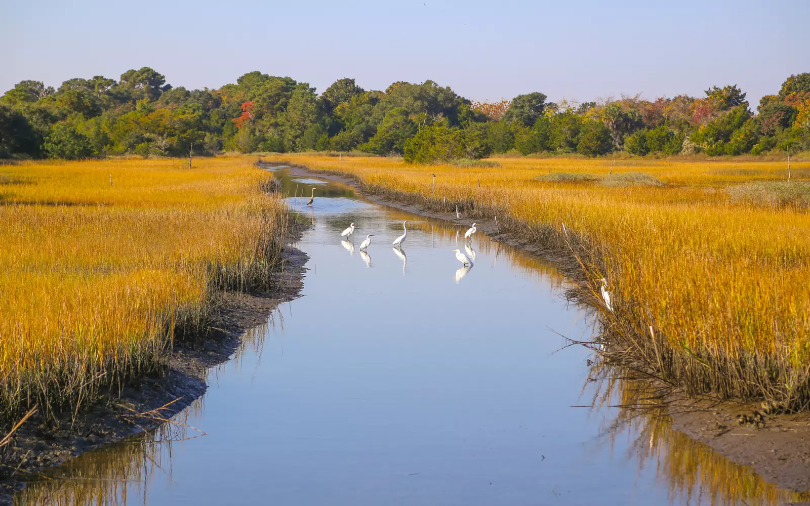 Pulau Kiawah, South Carolina