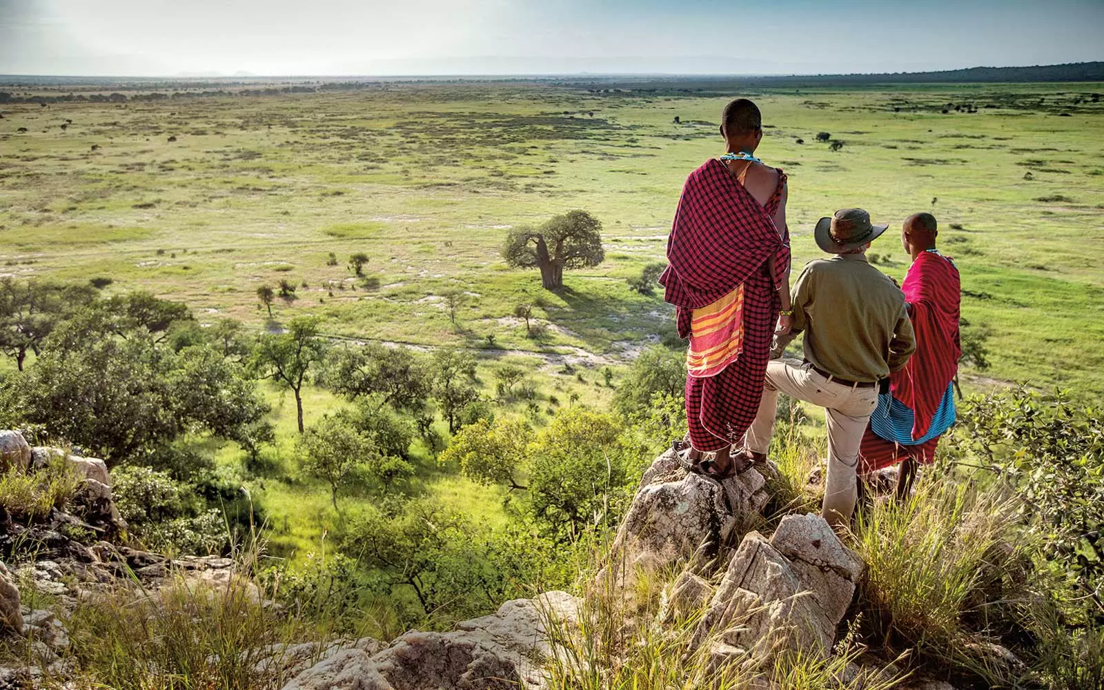 Tangarire مع African Travel