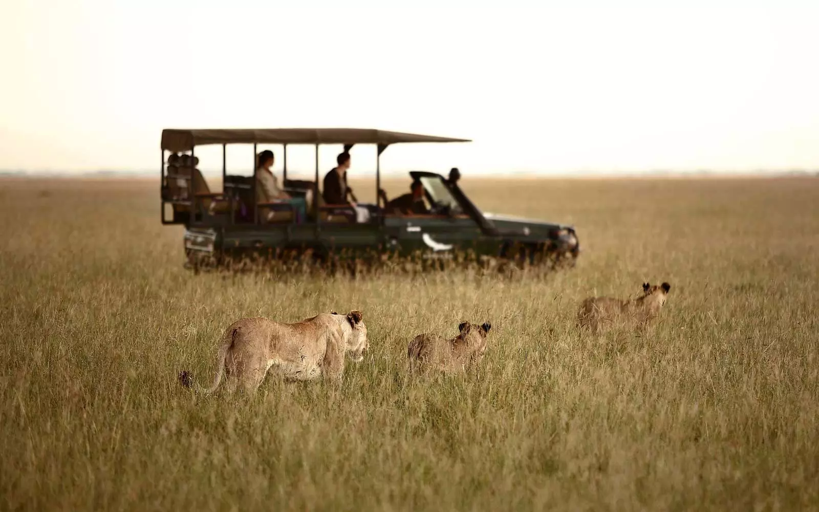 en verder dan safari in Grumeti