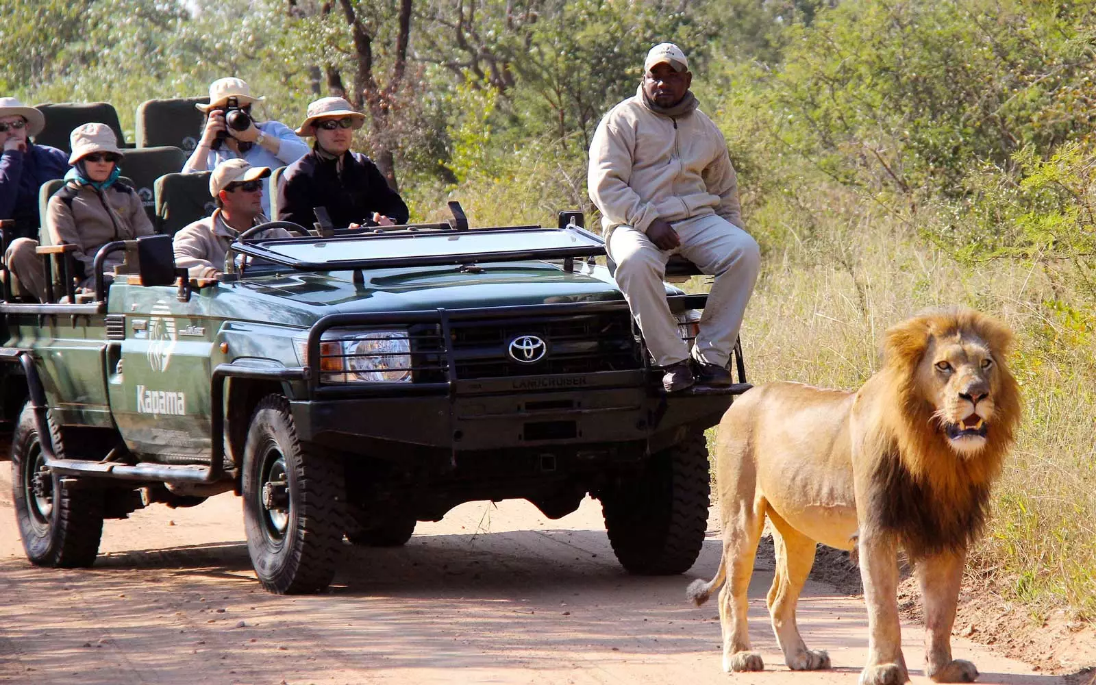 Afrika met Rothschild Safari's