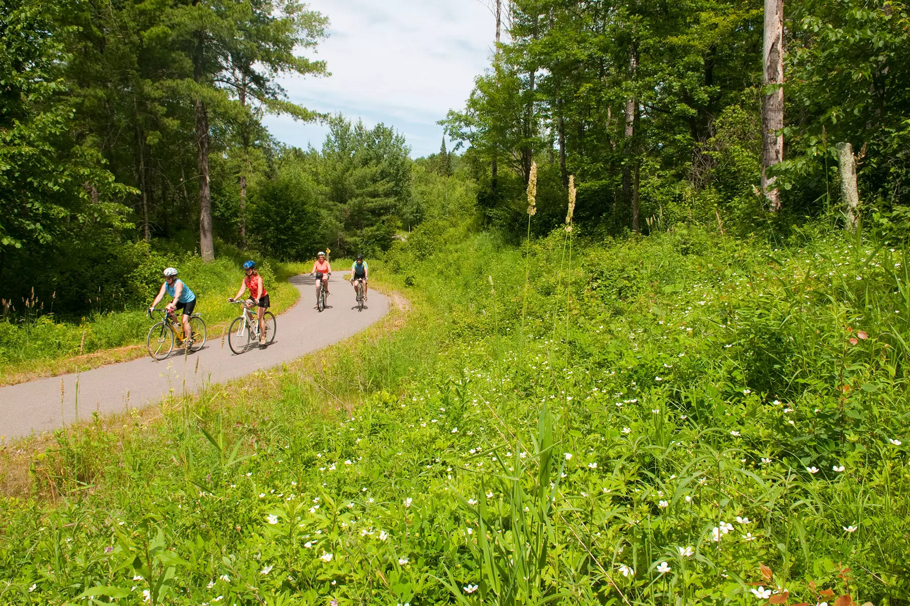 Cykelcyklister på Paul Bunyan Bike Trail mellan hacksensack och Hwy 34