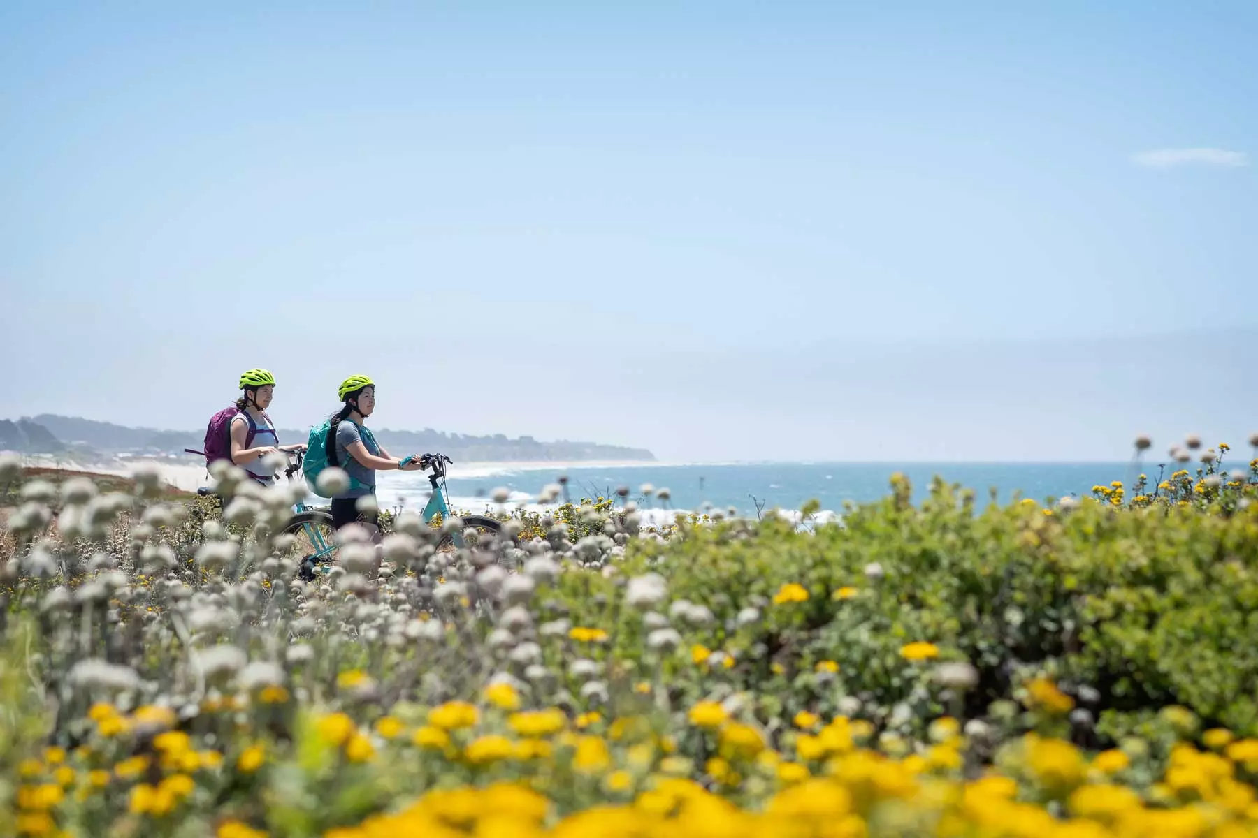 Deux cyclistes dans un champ de fleurs le long de la côte californienne