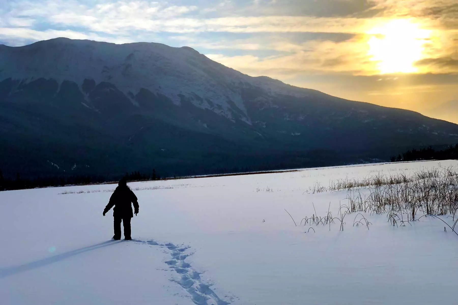 Phong cảnh mùa đông của Alberta, Canada