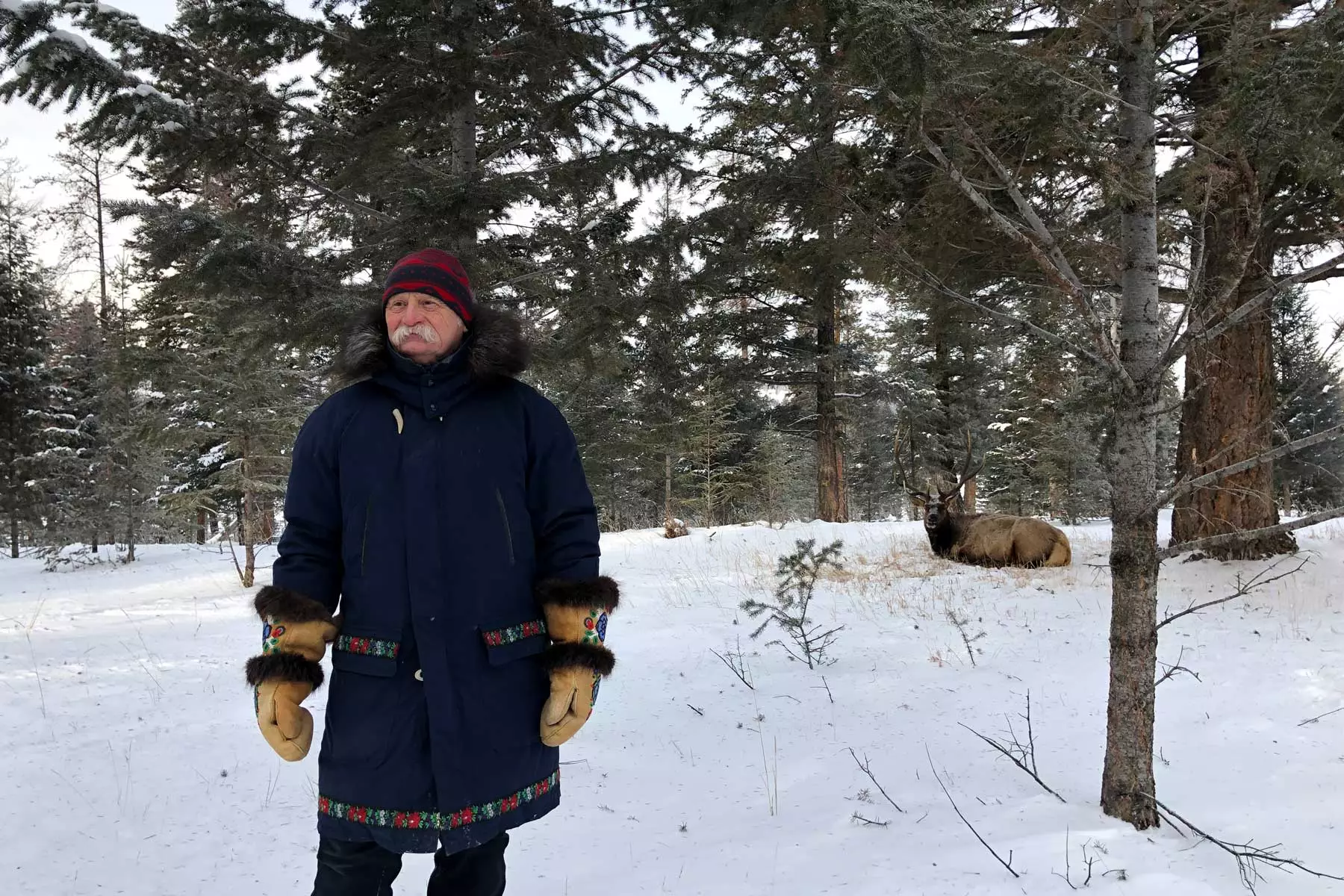 Phong cảnh mùa đông của Alberta, Canada