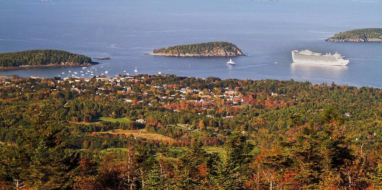 Iyo Yakanakisa Kudonha Mashizha Cruise Mhiri kweU.S.