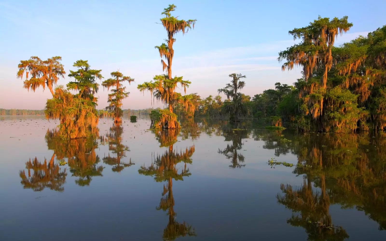 Lafayette, Louisiana