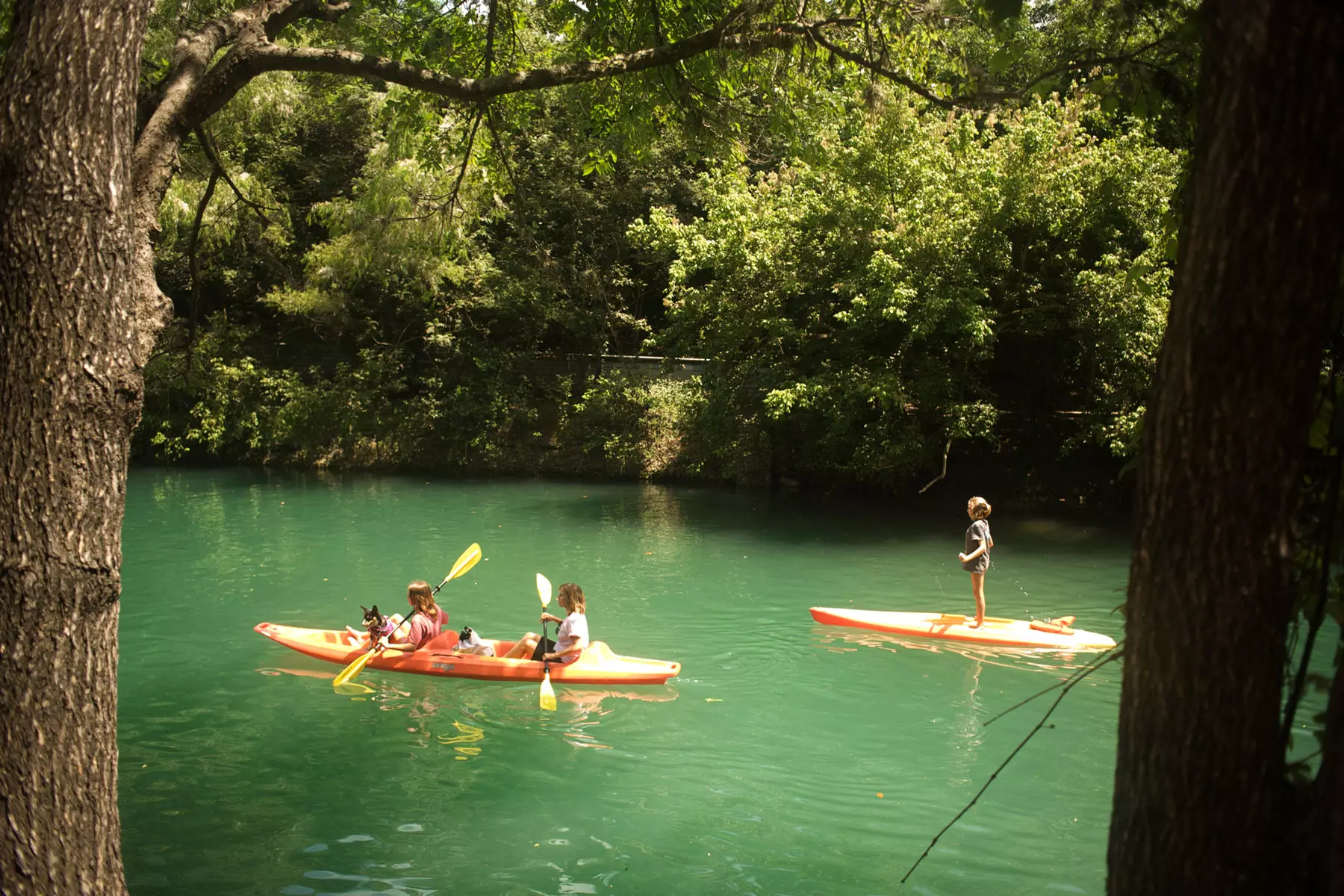 Kanca canoeing karo asu lan paddleboarding ing Barton Creek ing Zilker Park ing Austin