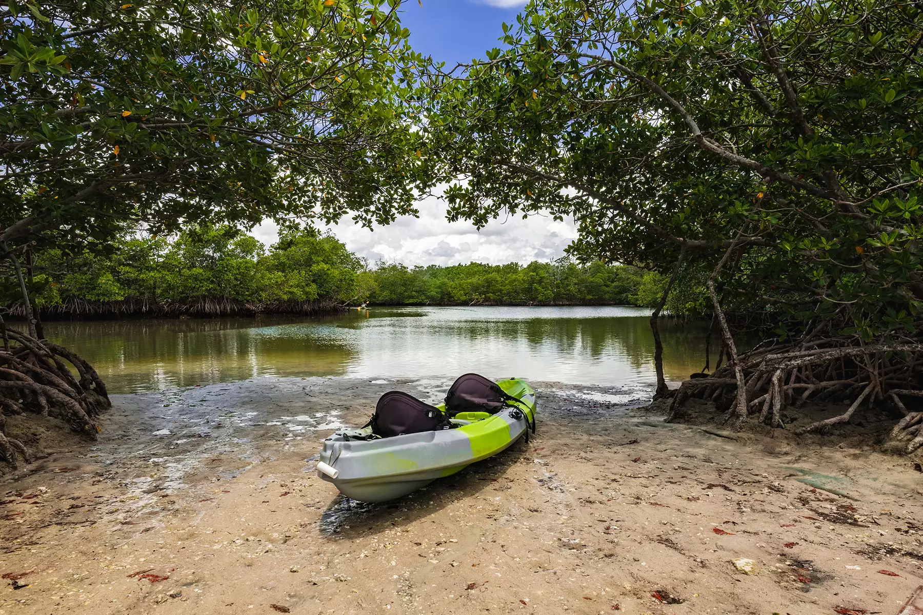 Radharc bhá sárscéimhe ar an swamp mangrove le cadhc ar an gcladach feadh an chuain i bPáirc an Stáit Oleta River i dTuaisceart Trá Miami.