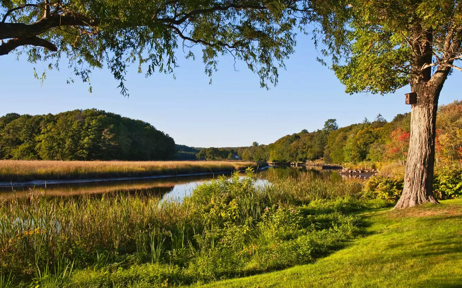 Teniente River de los terrenos del Museo Florence Griswold, septiembre, Old Lyme, Connecticut