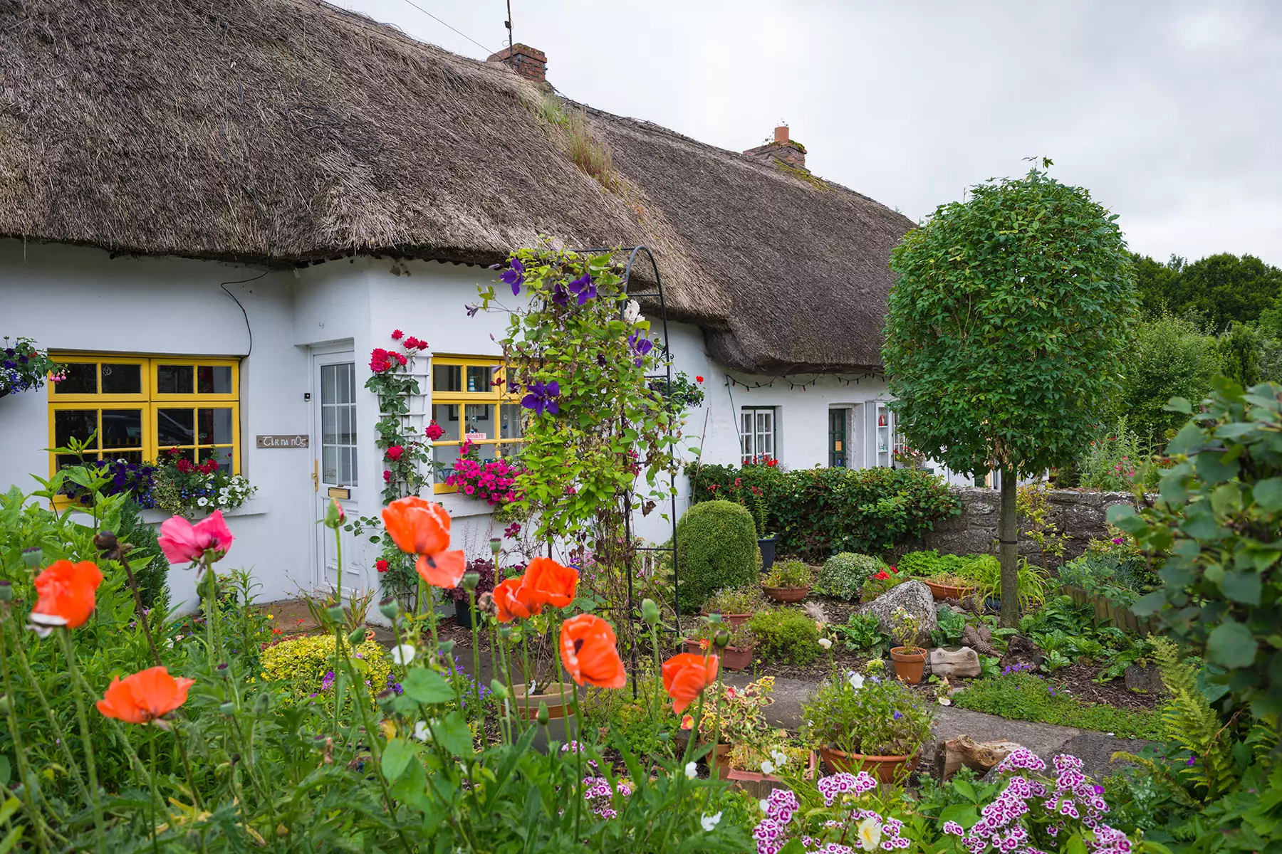 Awọn ile kekere koriko ti aṣa ni Adare, county Limerick, Ireland.