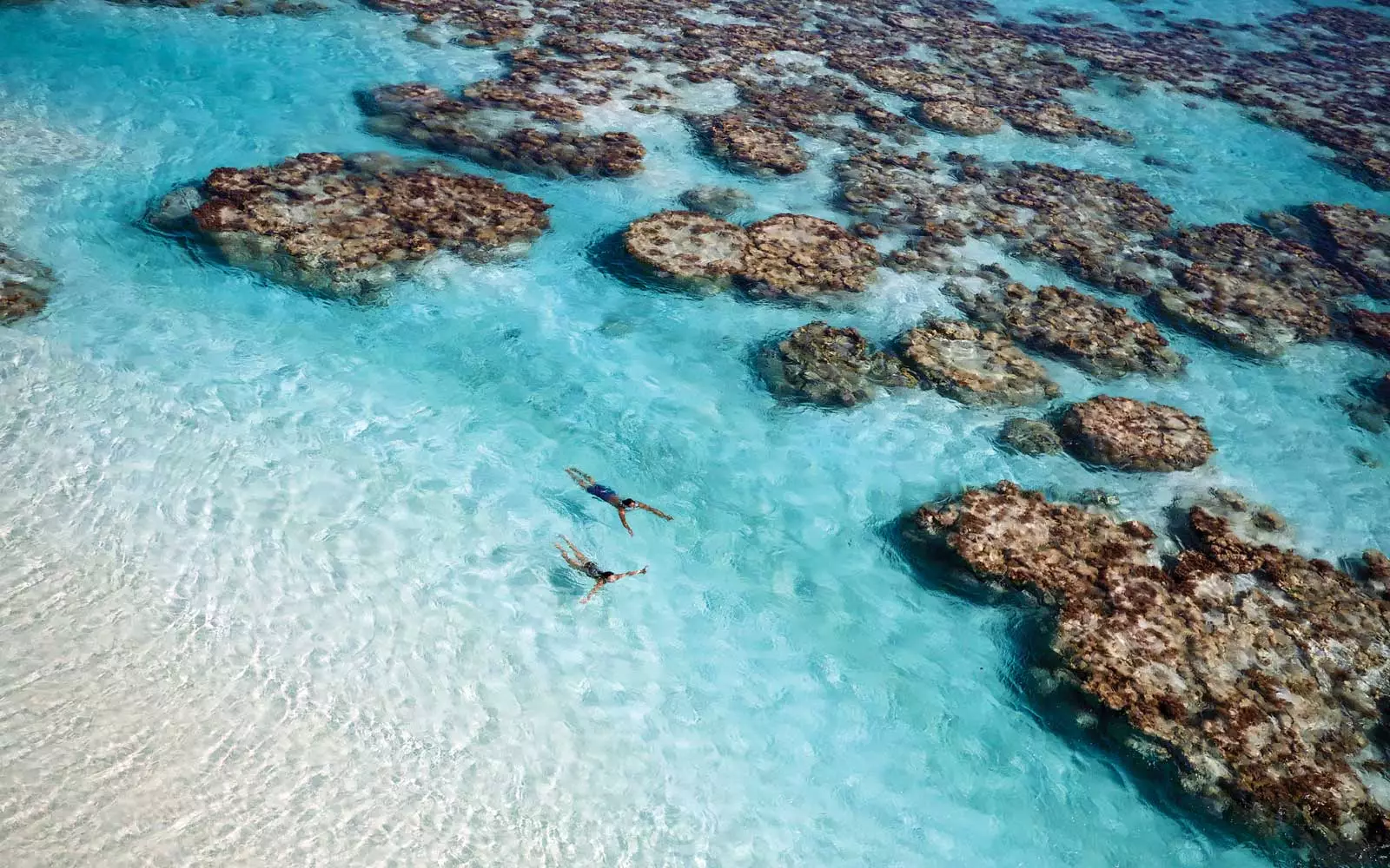 Resorts retten Korallenriffe