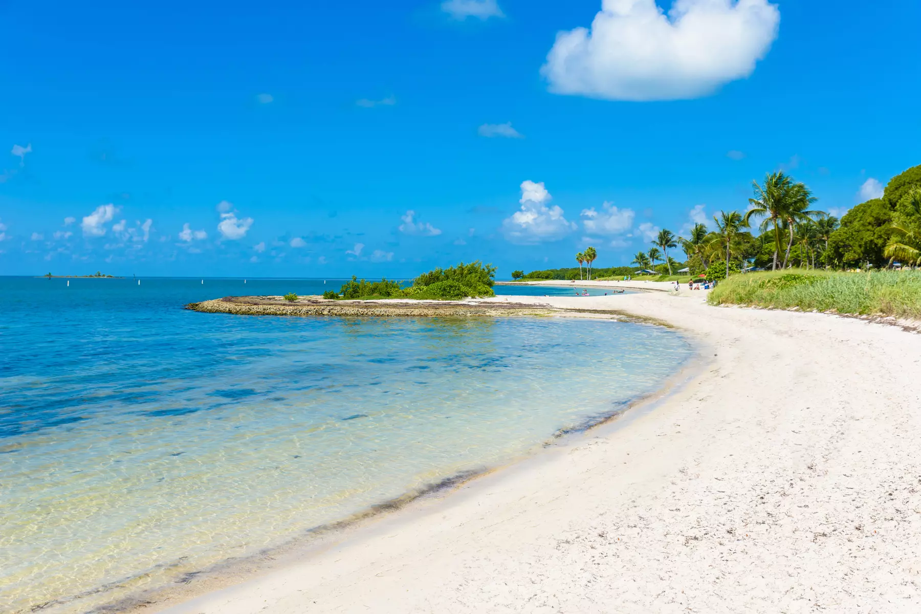 Sombrero Beach nrog cov ntoo xibtes ntawm Florida Keys, Marathon, Florida. Tropical thiab paradise destination rau so.