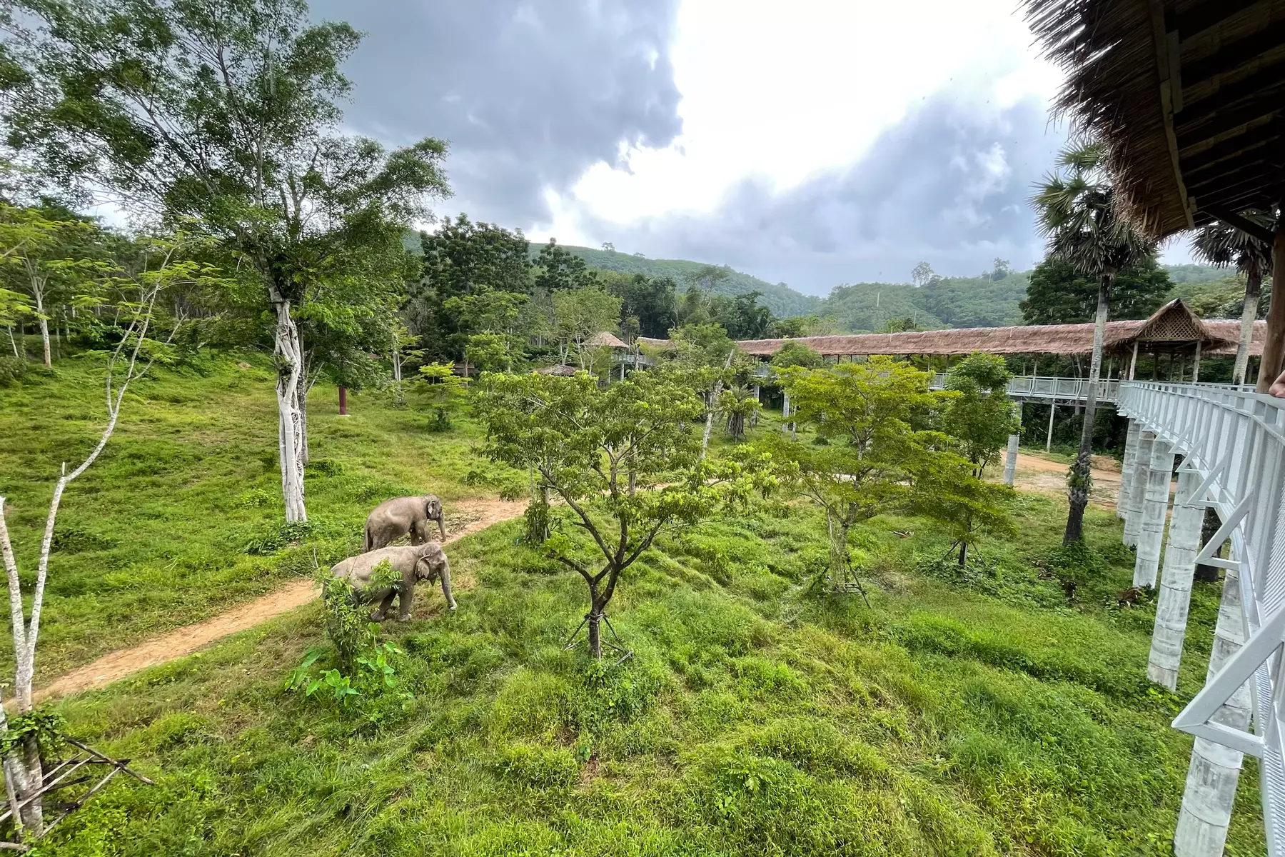 Elephant Sanctuary in Phucket, Thailand