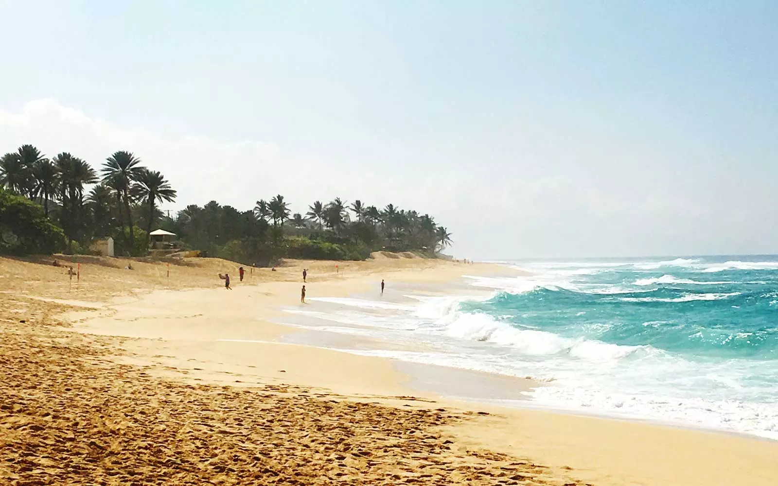 Praia de Haleiwa, Hawaii