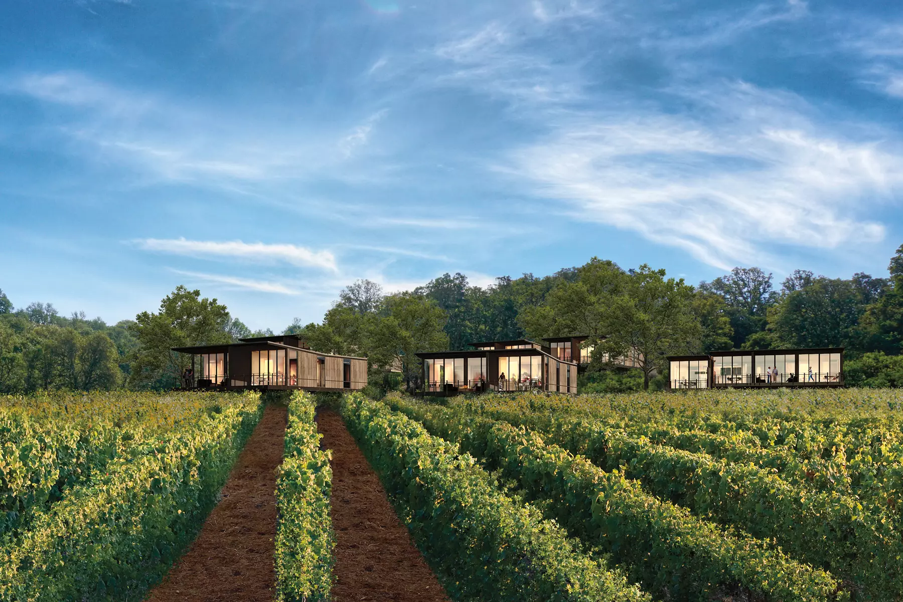 Habitacions a les vinyes del Montage Healdsburg