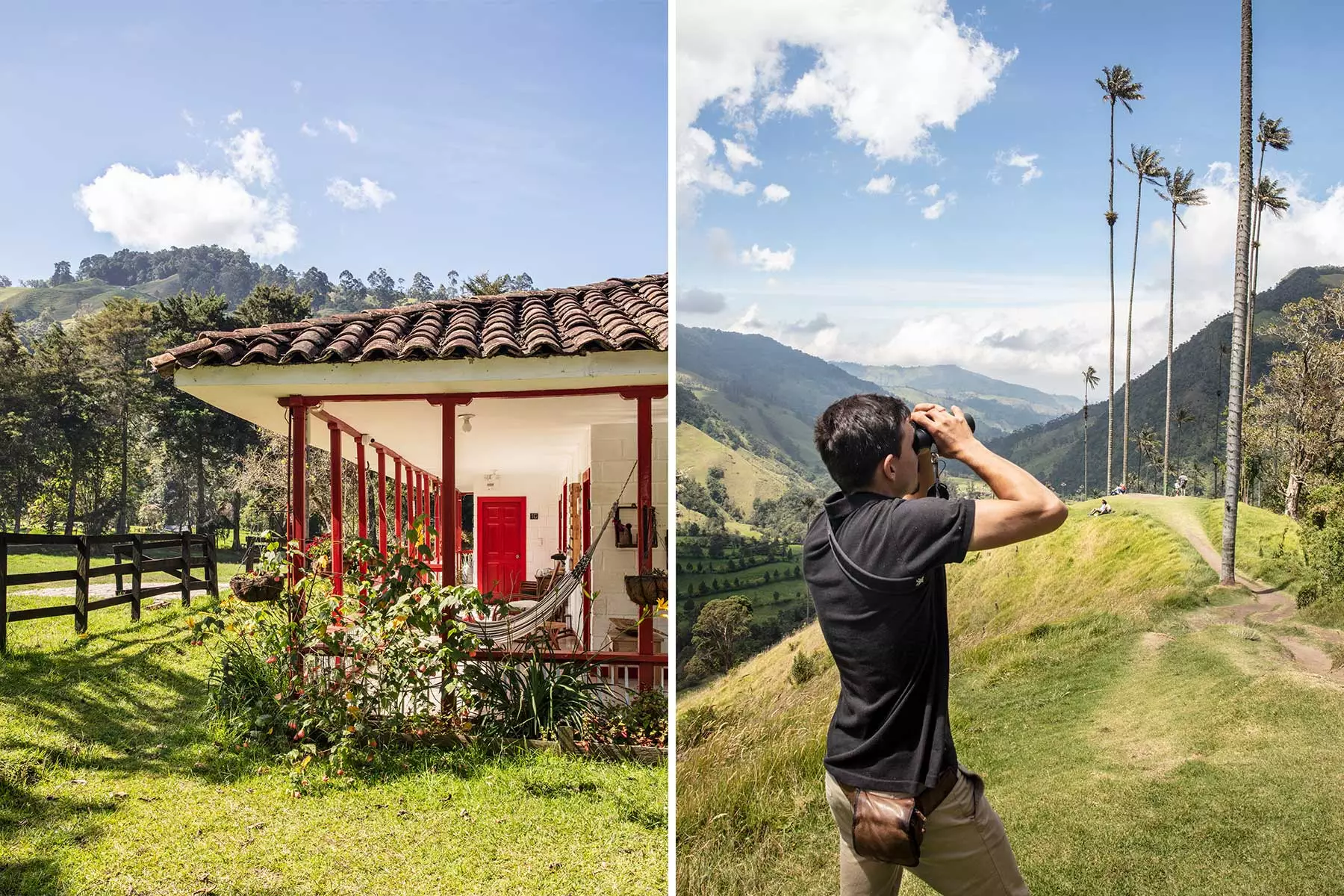 Hotuna daga yankin kofi na Eje Cafetero na Colombia, gami da Ecohotel da balaguron kallon kallon tsuntsaye.