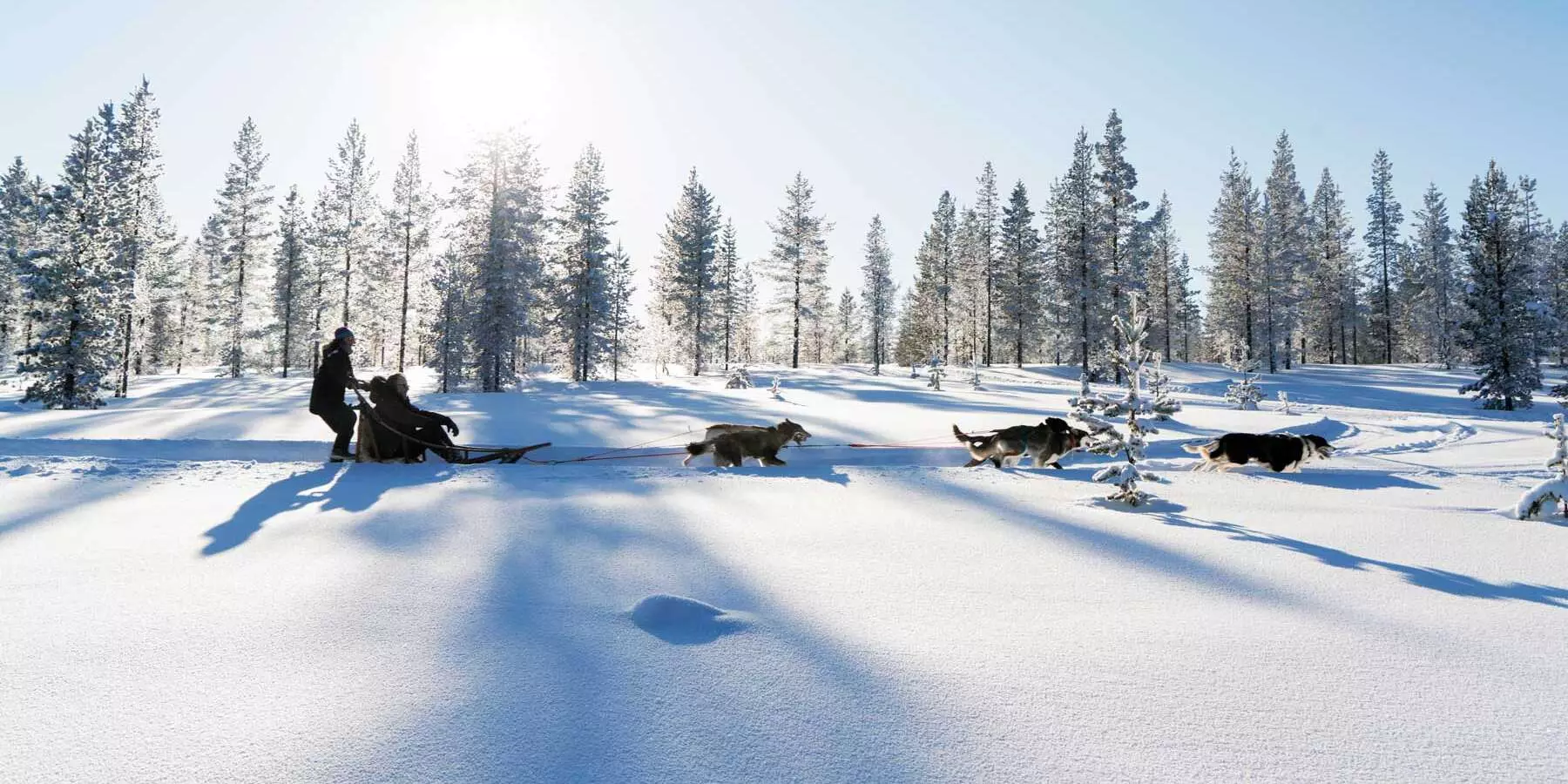 Sauna's, noordelike ligte en winteravontuur in Finse Lapland