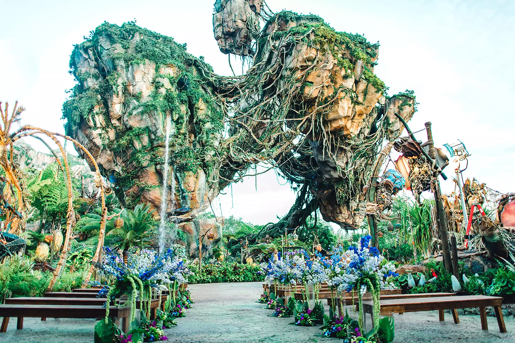 Walt Disney World'ün Pandora (Avatar) düğün mekanı