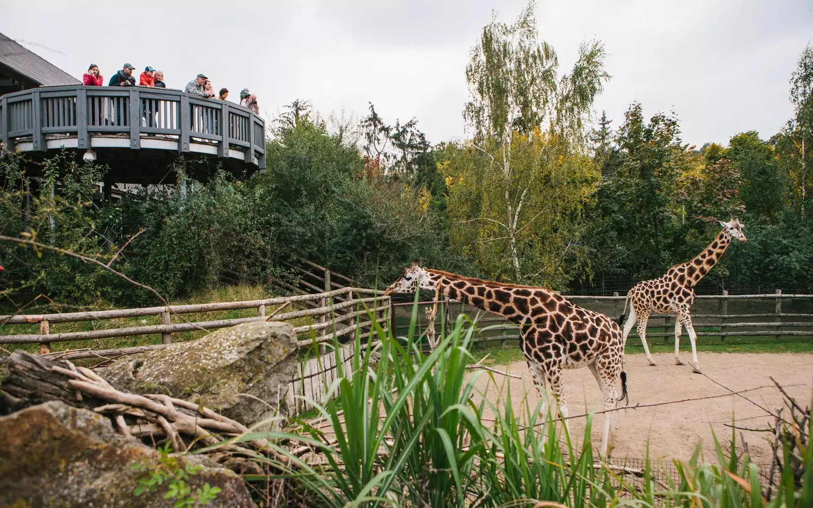 Kopshti Zoologjik i Pragës