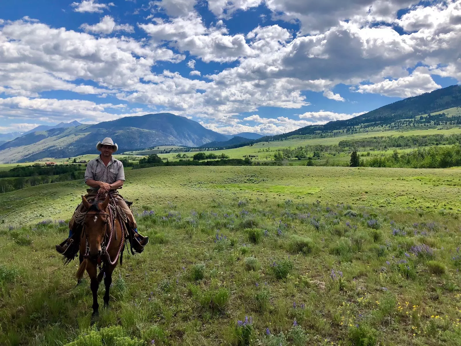 ຂີ່ມ້າ Yellowstone Lodge Montana ຂອງ Hubbard