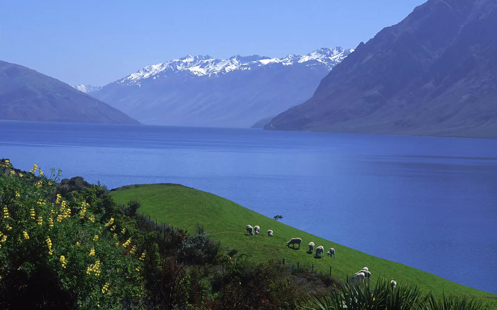 Lake Harwee, New Zealand