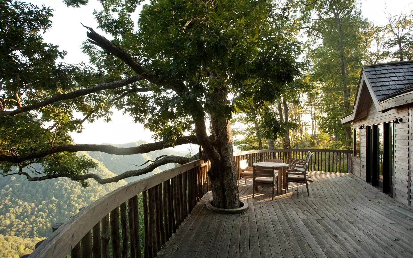 Resort en la casa del árbol de Primland