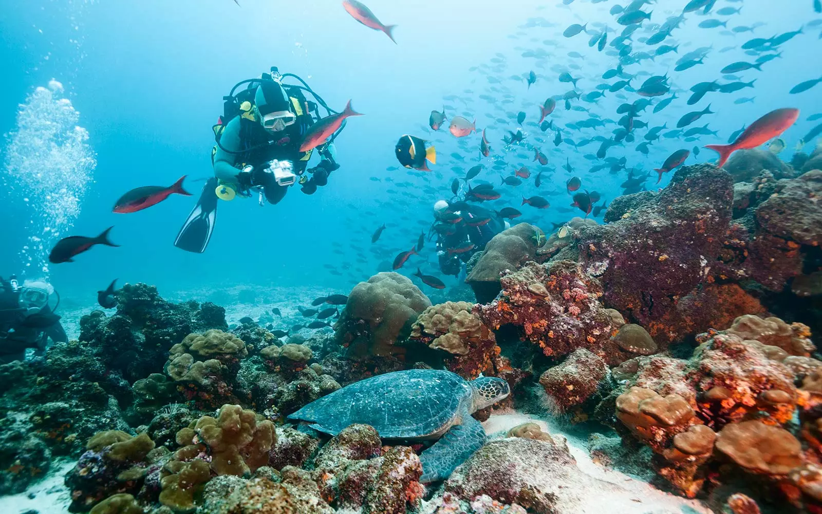 Diver, zilumba za Galapagos