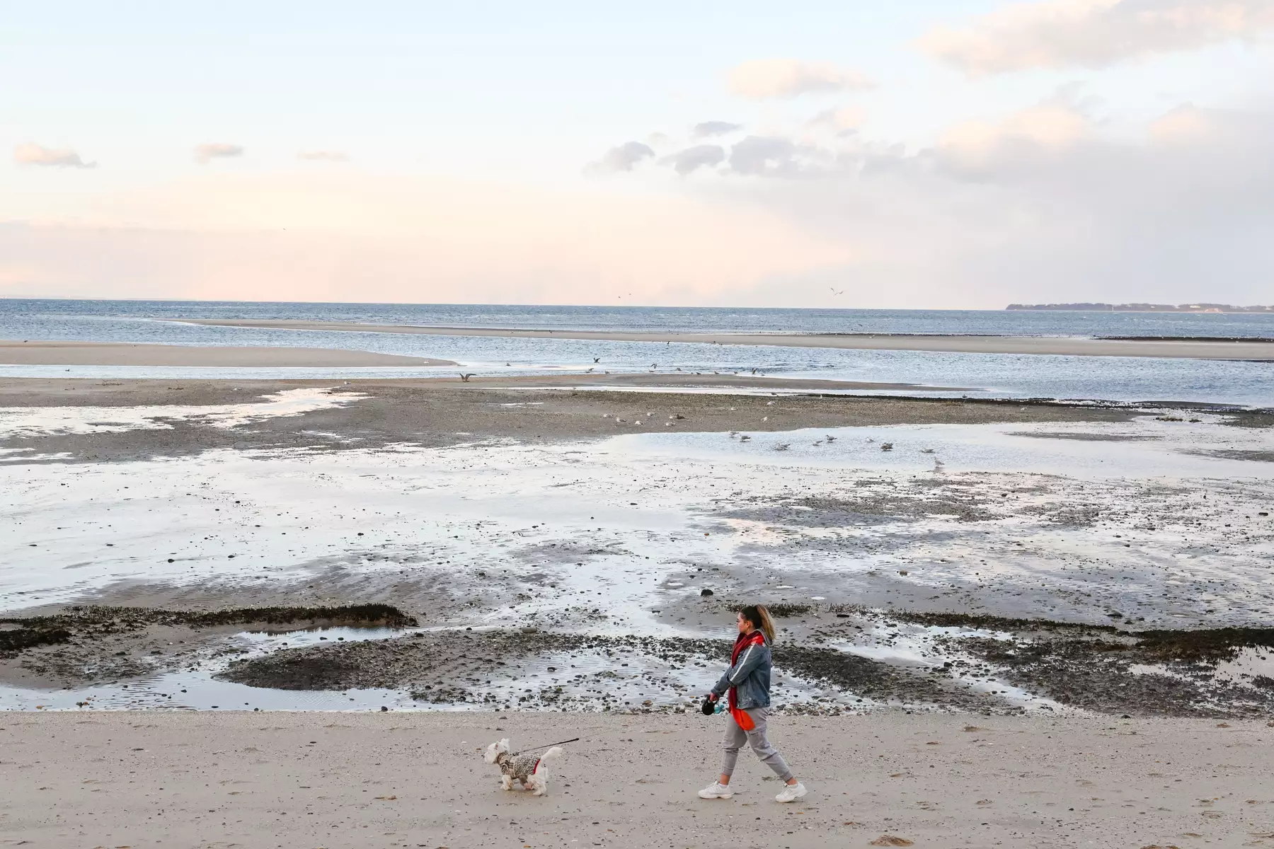 Mulher passeia com cachorro na praia no inverno