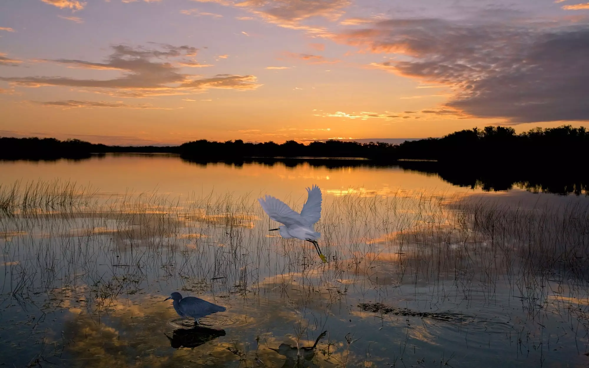 Vườn quốc gia Everglades, Florida