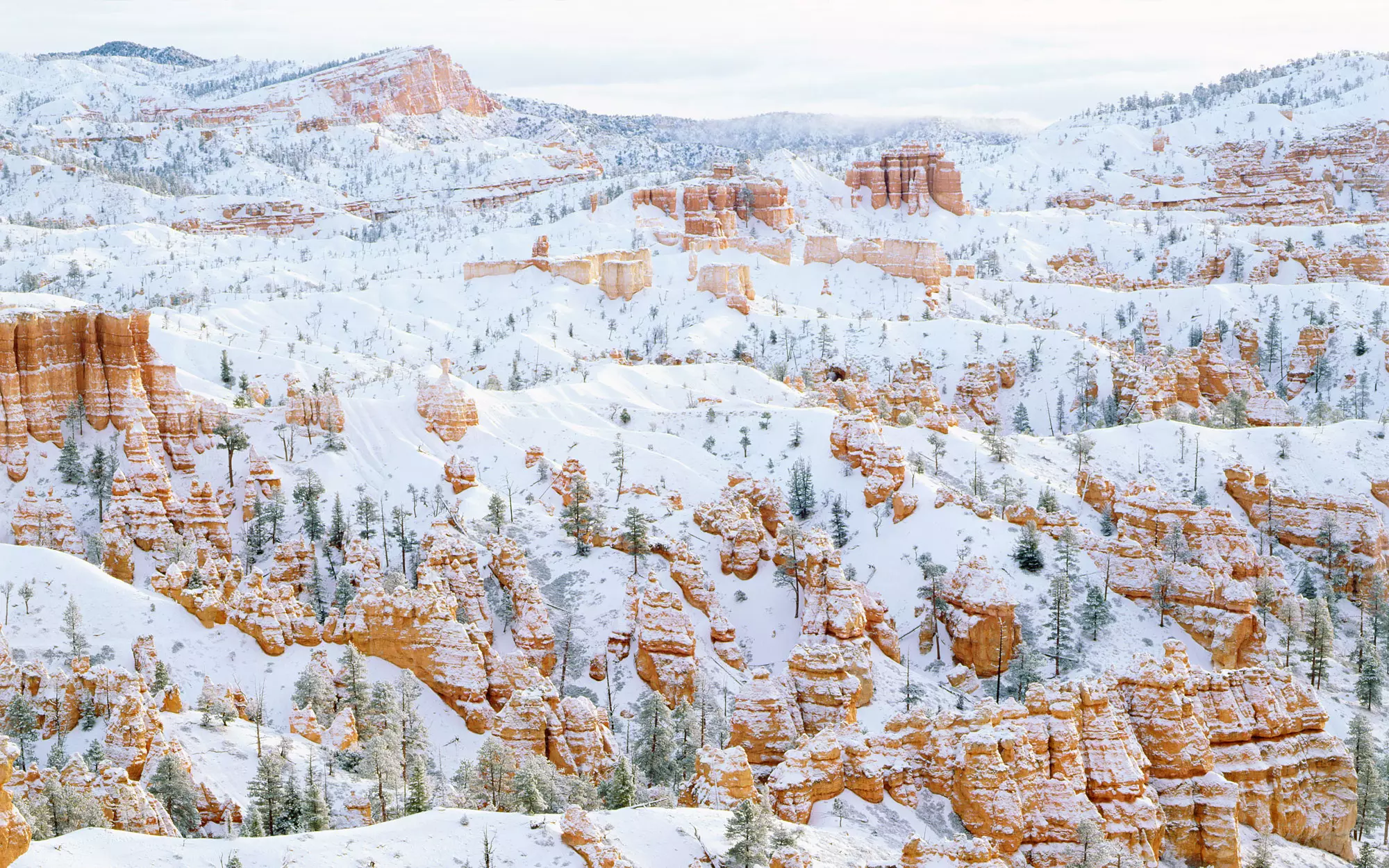 Công viên quốc gia Bryce Canyon, Utah Winter Snow