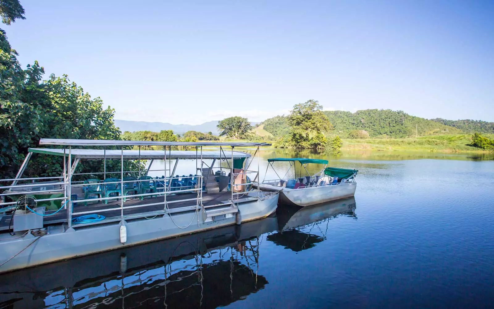 Mordeithiau Afon Daintree ger tref Daintree yn bell nth Queensland, Awstralia