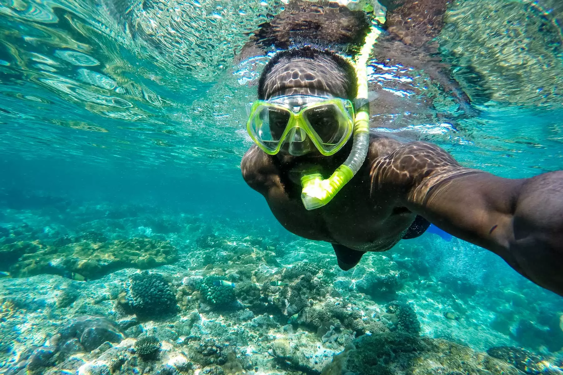 Mario Rigby fent snorkel a Zanzíbar