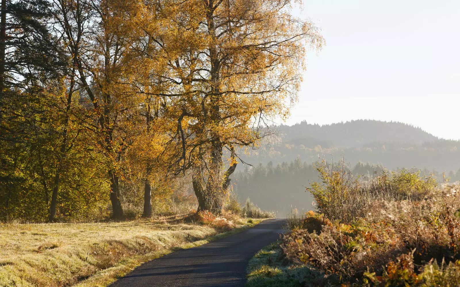 Chassignolles, Fransa