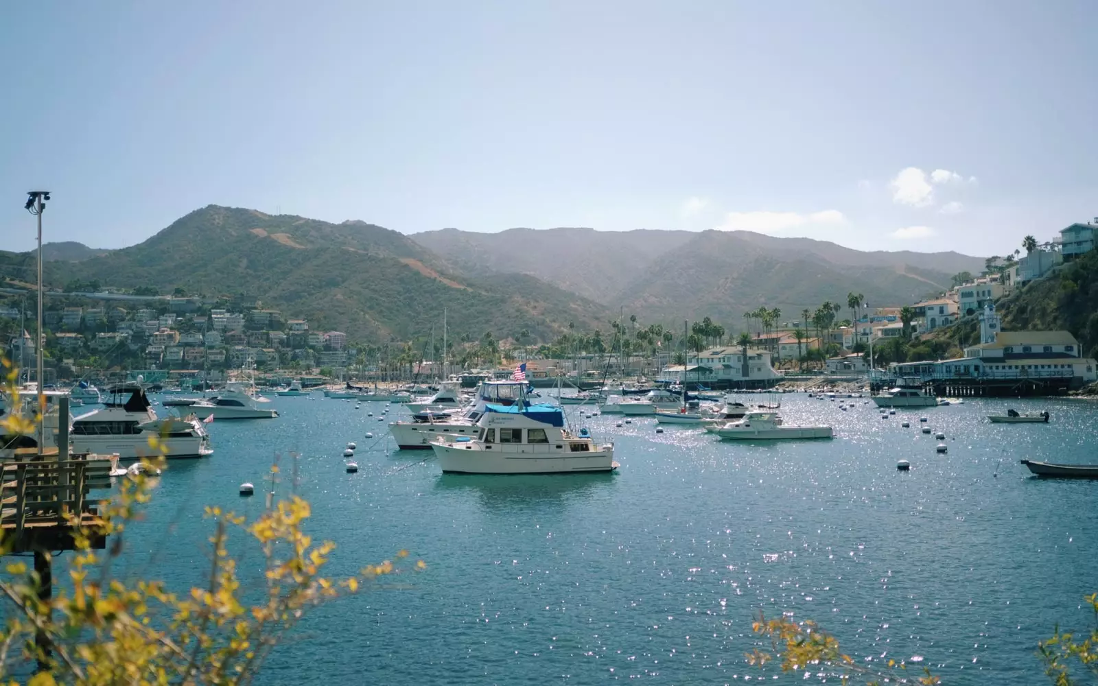 Ilha Catalina, Califórnia