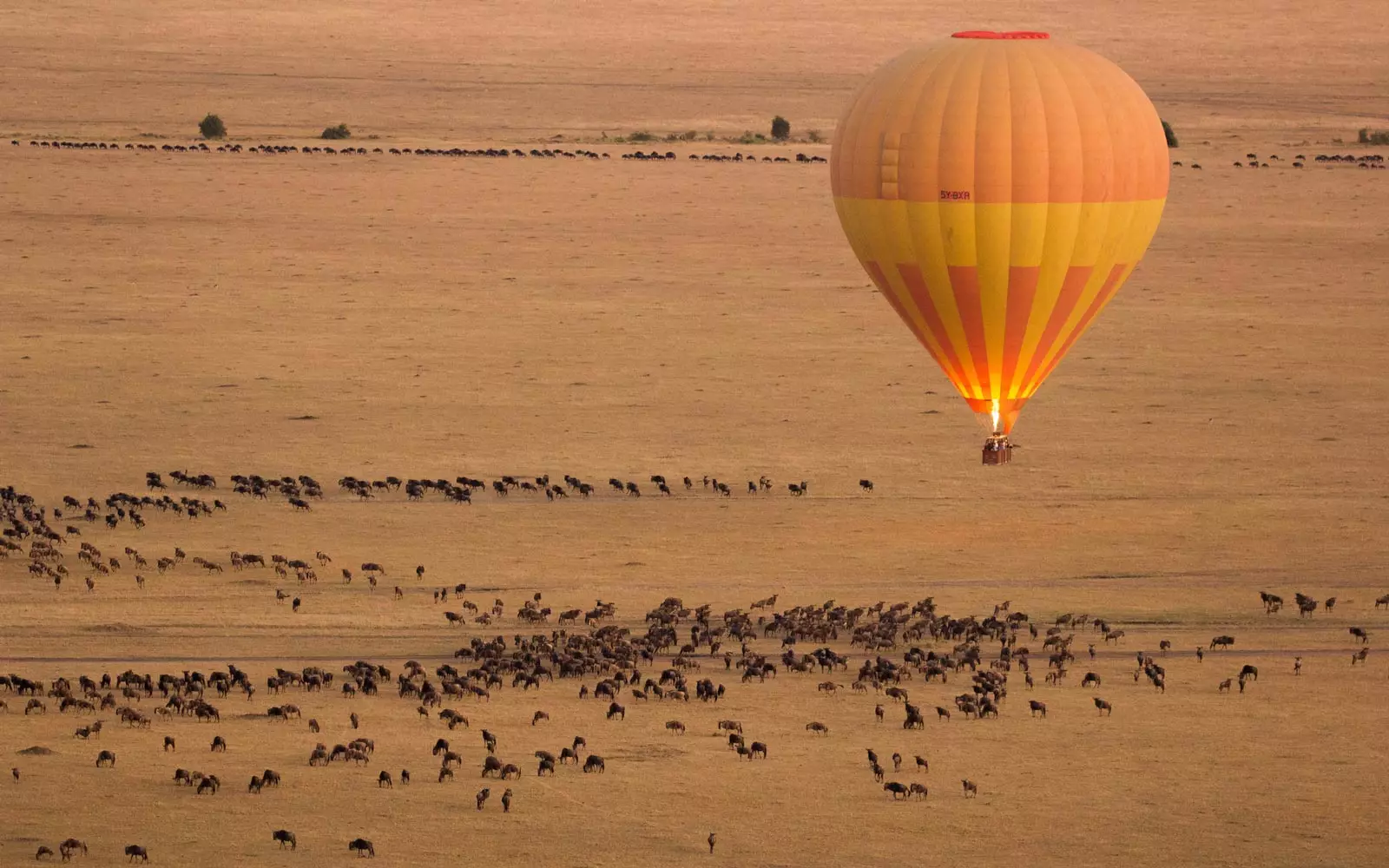 Serengeti, Tanzaniya