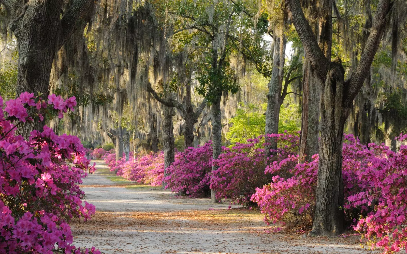 Savannah, Georgia