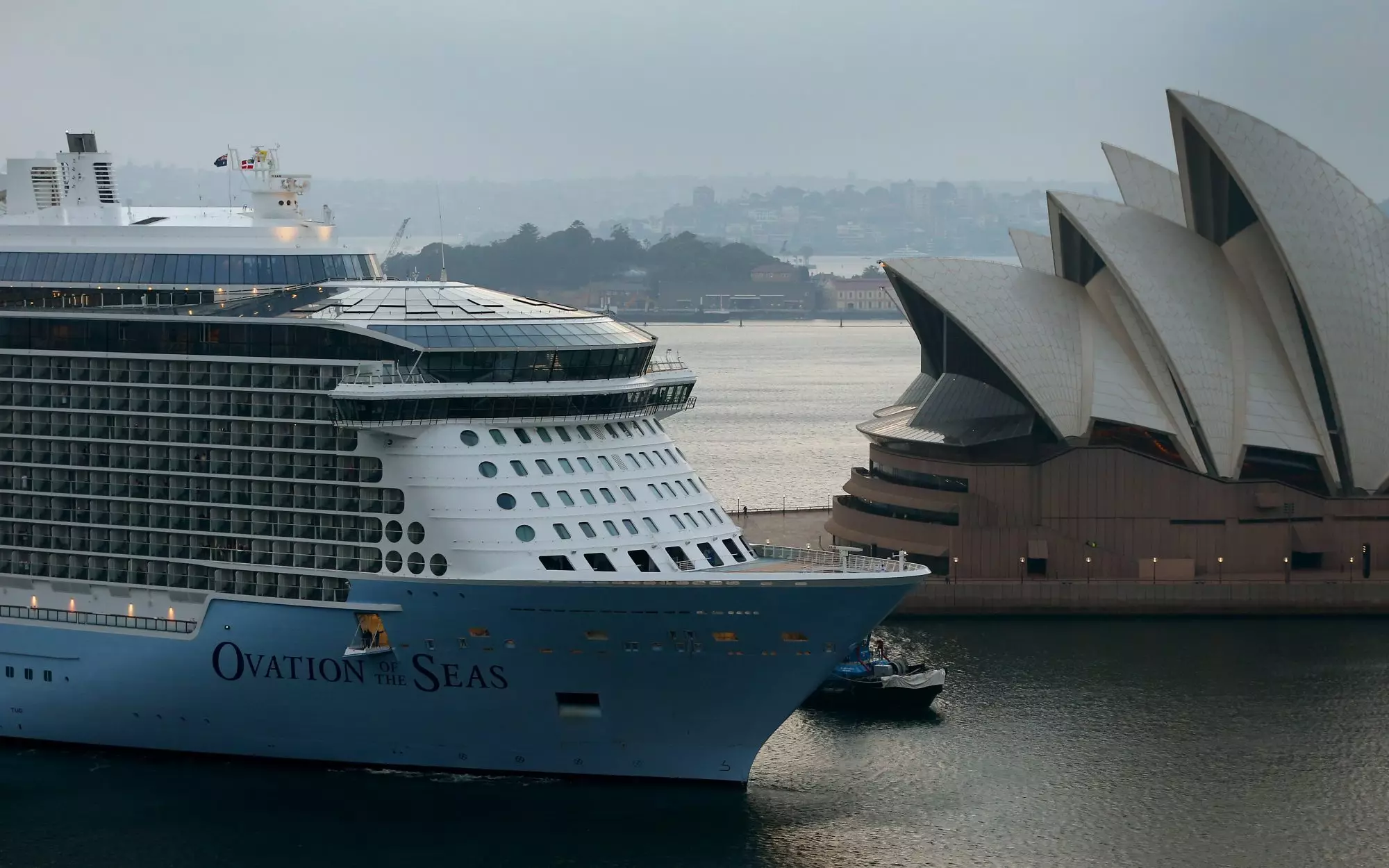 Ovation of the Seas 游轮停靠在悉尼