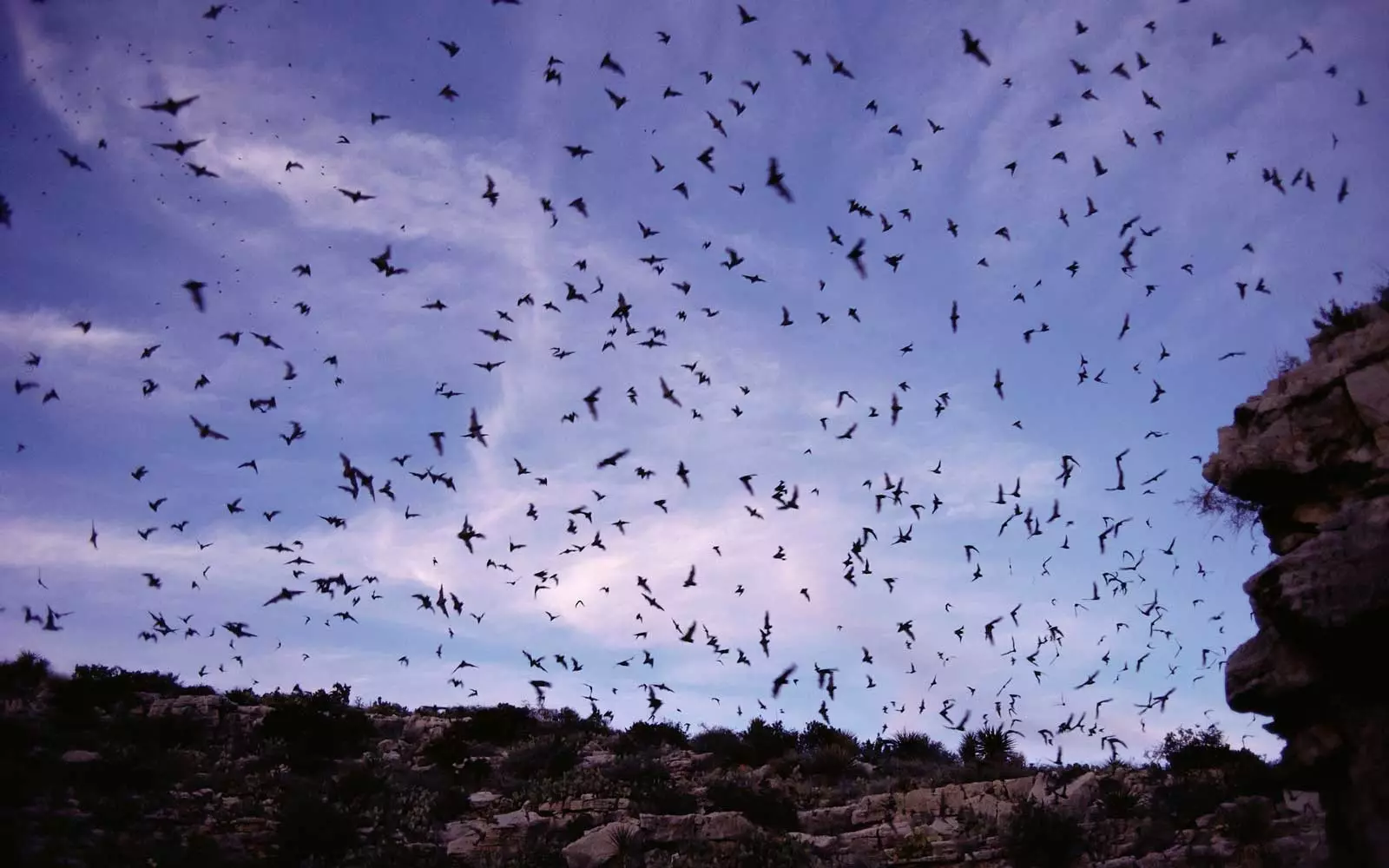 I-Carlsbad Caverns National Park