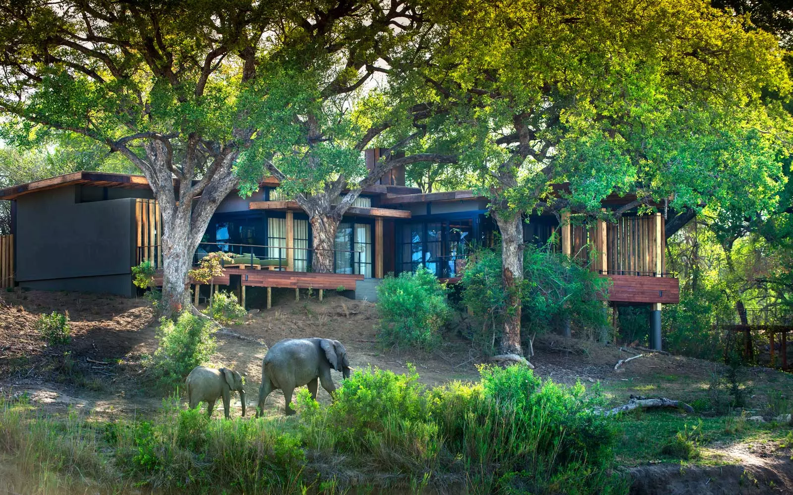 andBeyond'un En Yeni Safari Kampı, Tengile