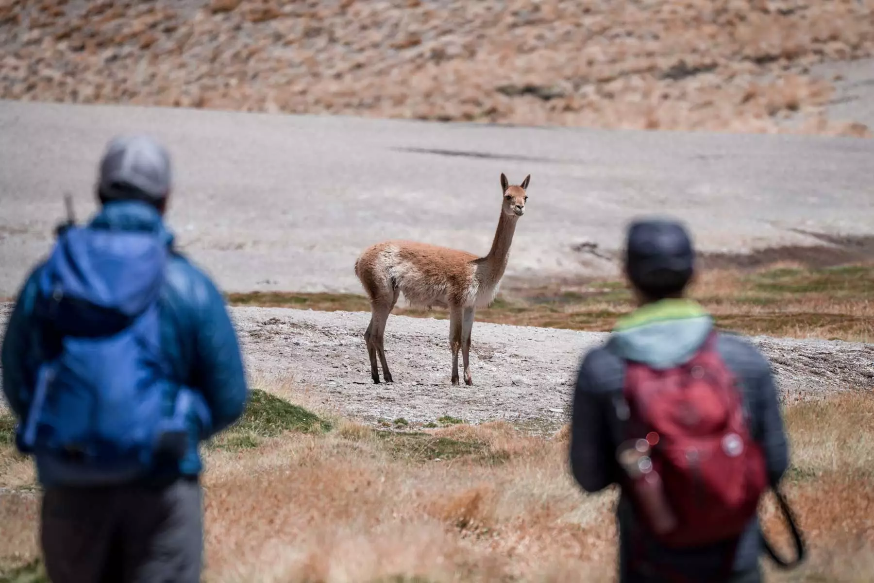 Atacama kõrb Tšiilis, tähevaatlus ja seiklus väljas