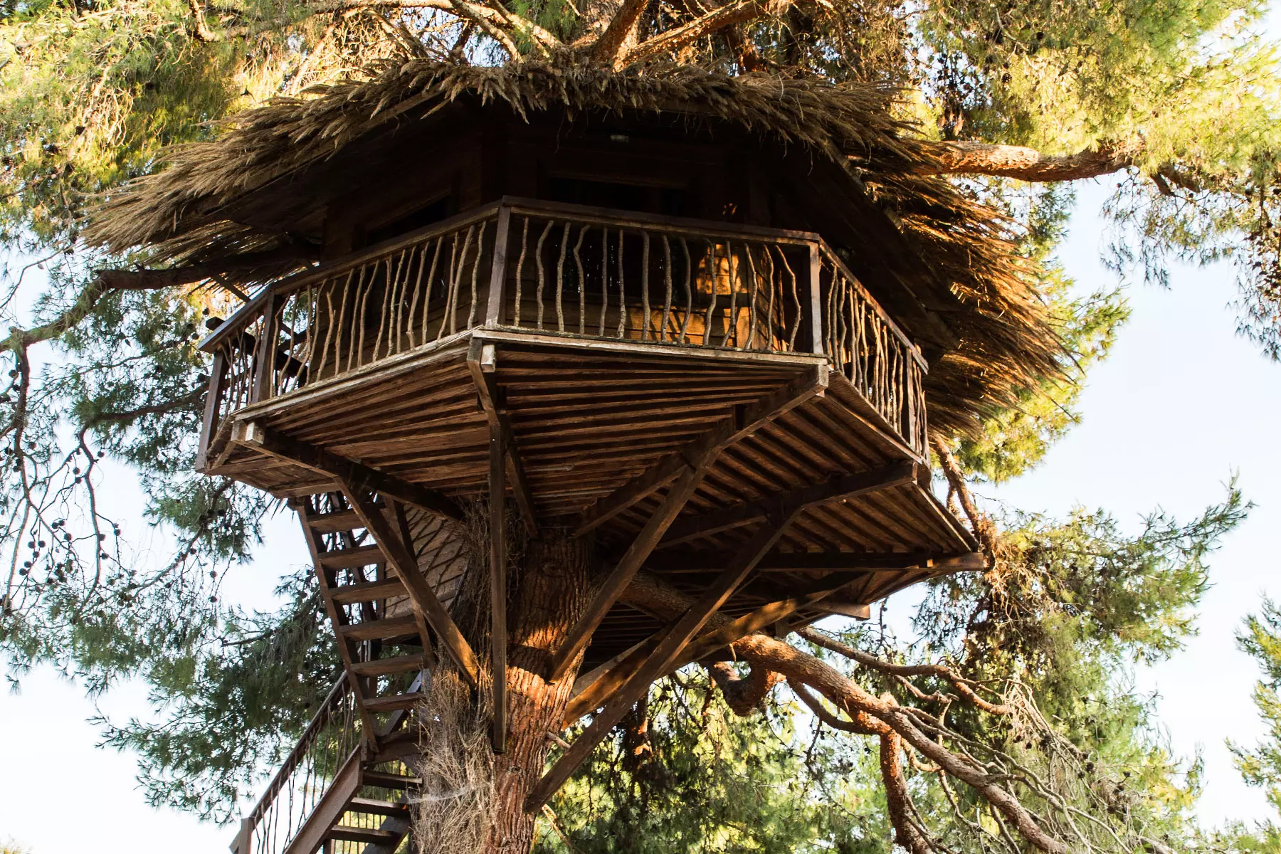 Exterior of the Treehouse Greece 10mins from Sandy's beach in Tsichleika, Peloponnisos, Greece