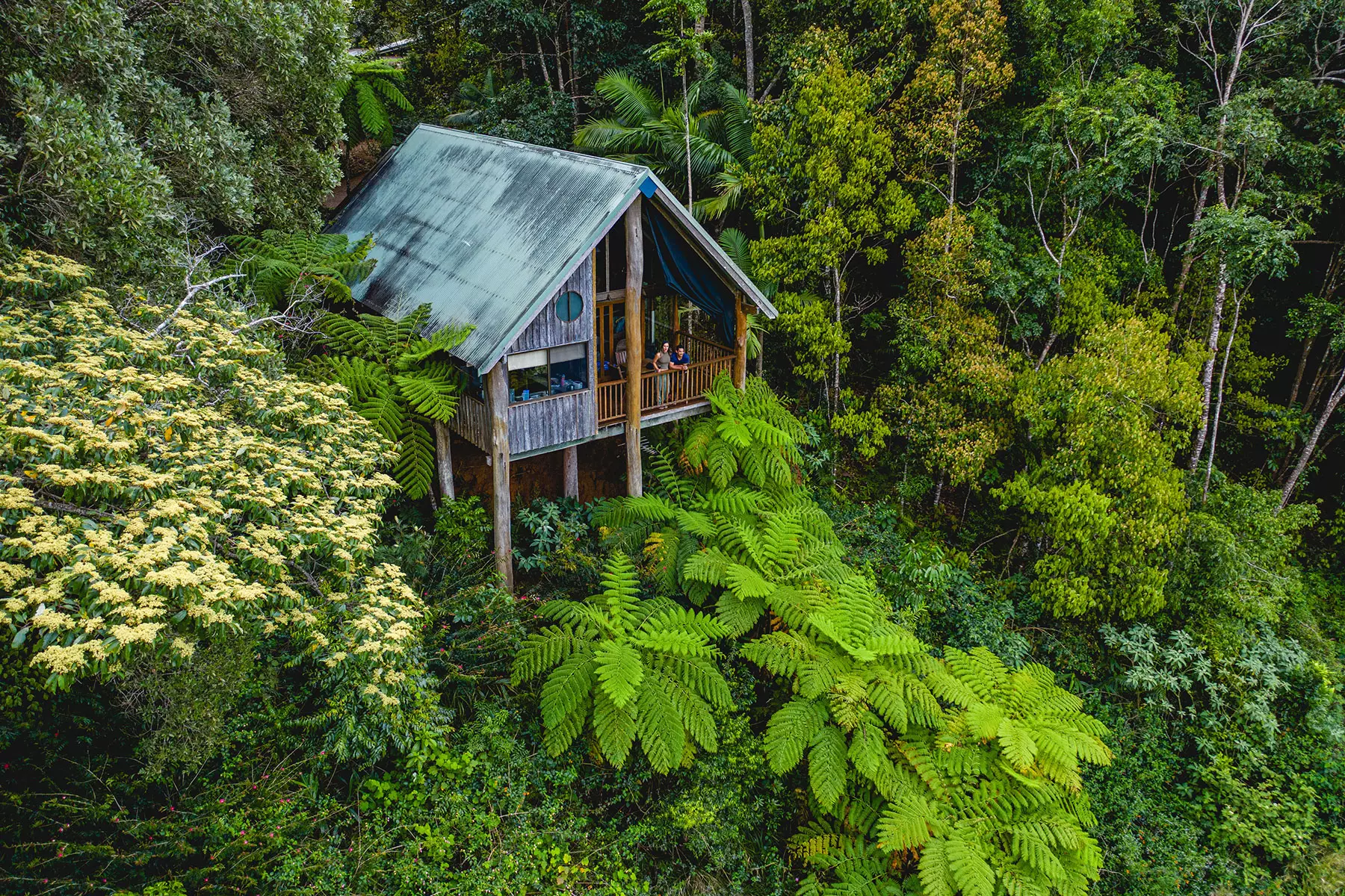 Ekstero de la Privata Du Dormoĉambro Treehouse en la Pluvarbaro en Butchers Creek, Kvinslando, Aŭstralio