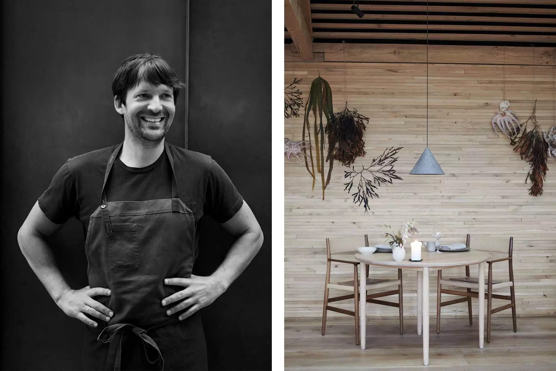 Virėjo, Rene Redzepi portretas ir „Noma Seafood“ valgomasis